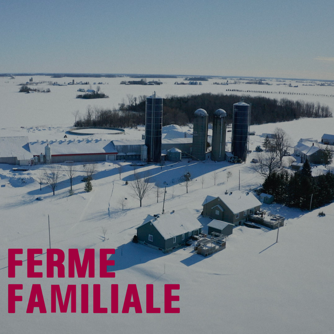 MC2 | Communication Média